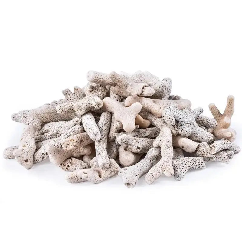 Buy Crushed Coral 2-6cm on Sale | at Abquatics – abquascape